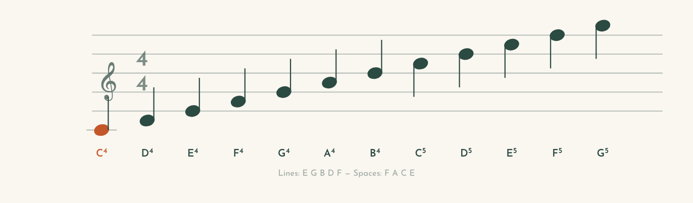 How to Read Sheet Music — A Beginner's Guide to Music Notation (2026 ...